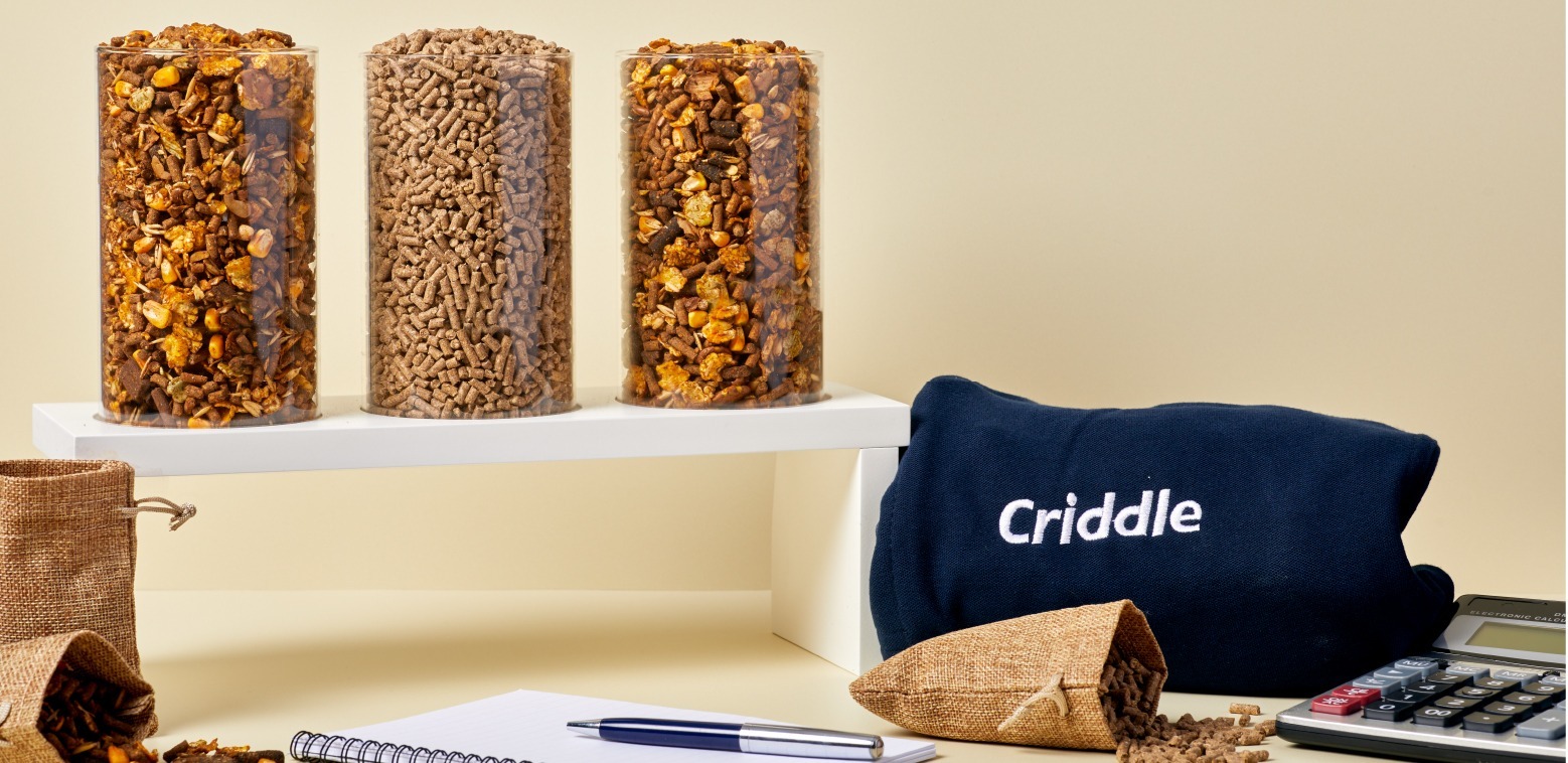 Criddle | The Billington Group